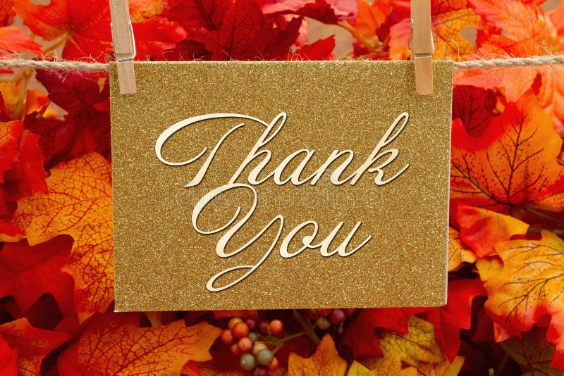 Thank You Greeting Card with Fall Leaves Stock Image - Image of card ...