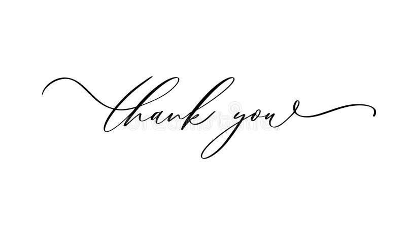 Thank You Hand Drawn Lettering. Calligraphic Lettering, Vector ...