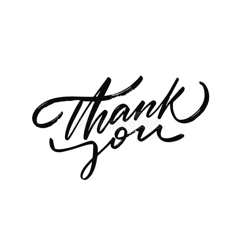 Thank You Handwritten Calligraphy Phrase. Stock Vector - Illustration ...