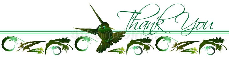 Thank You Hummingbird Card 2 Stock Vector - Illustration of concept ...