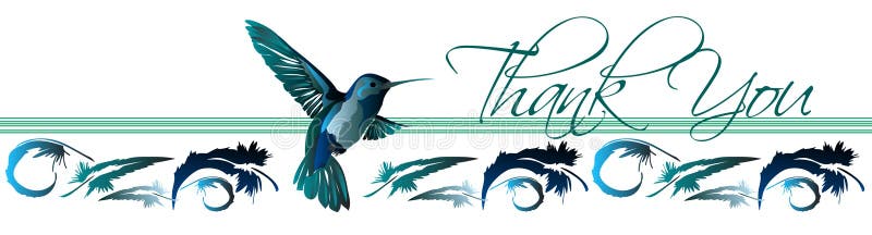 Thank You Hummingbird Card 3 Stock Vector - Illustration of isolated ...
