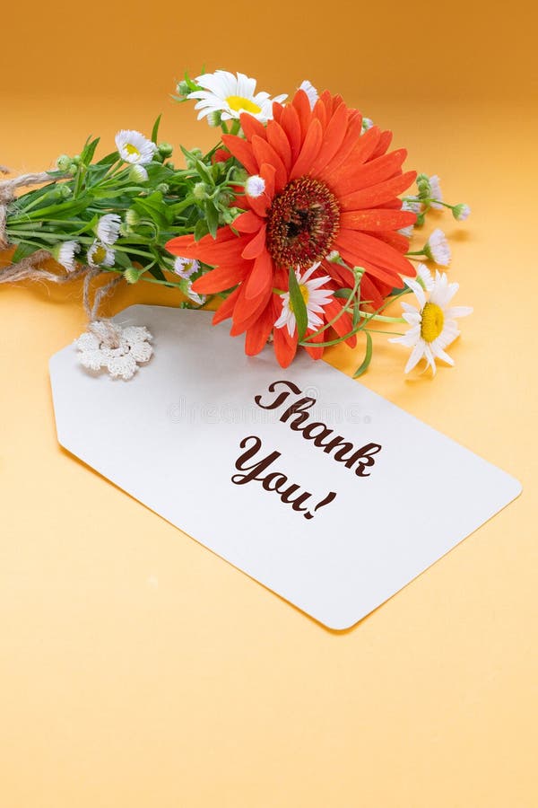 295 Thank You Thanksgiving Bouquet Stock Photos - Free & Royalty-Free ...
