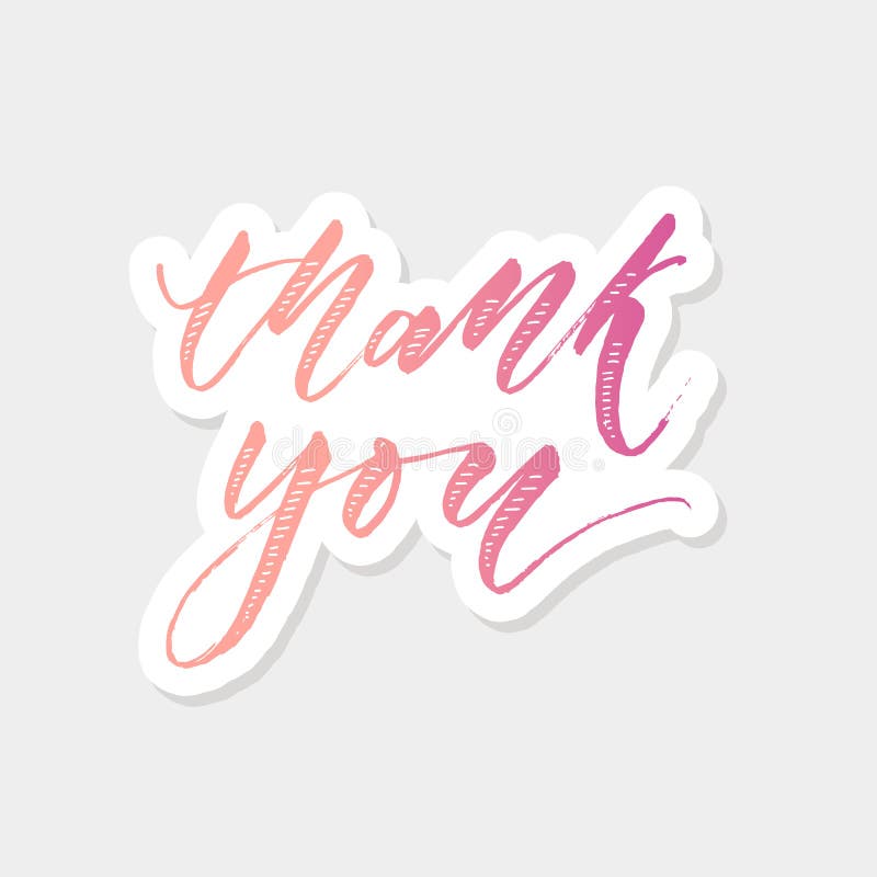 Thank You Lettering Calligraphy Vector Sticker Stock Illustration ...
