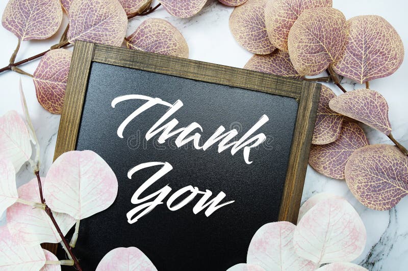Thank You Text Message and Eucalyptus Leaves Decoration on Marble ...