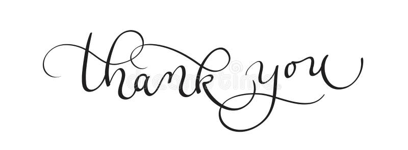 Thank You Text on White Background. Calligraphy Lettering Vector ...