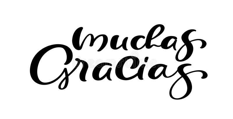 Thank You Vector Lettering Text in Spanish Muchas Gracias. Hand Drawn ... Thank You Vector Lettering Text in Spanish Muchas Gracias. Hand Drawn ...