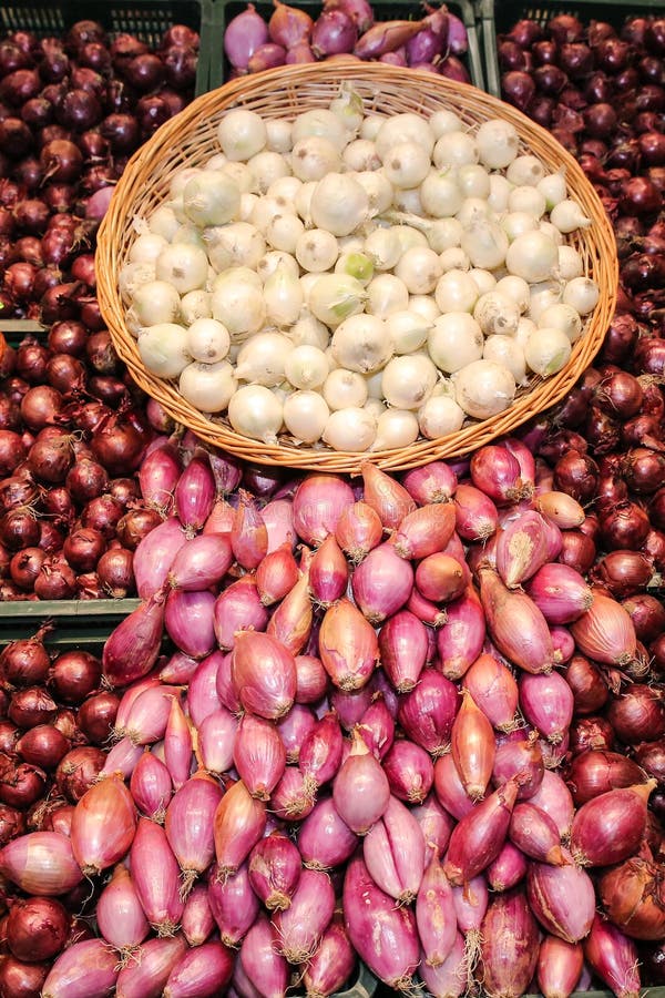 Thanks bulk onion basket stock image. Image of onion - 44191091