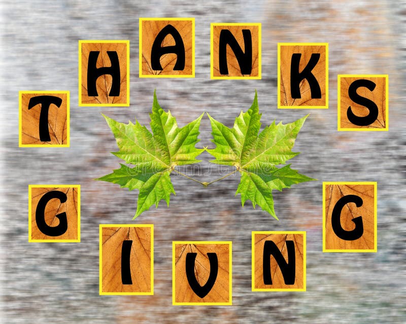Thanks Giving on Blurr Background Stock Photo - Image of badge, pumpkin ...