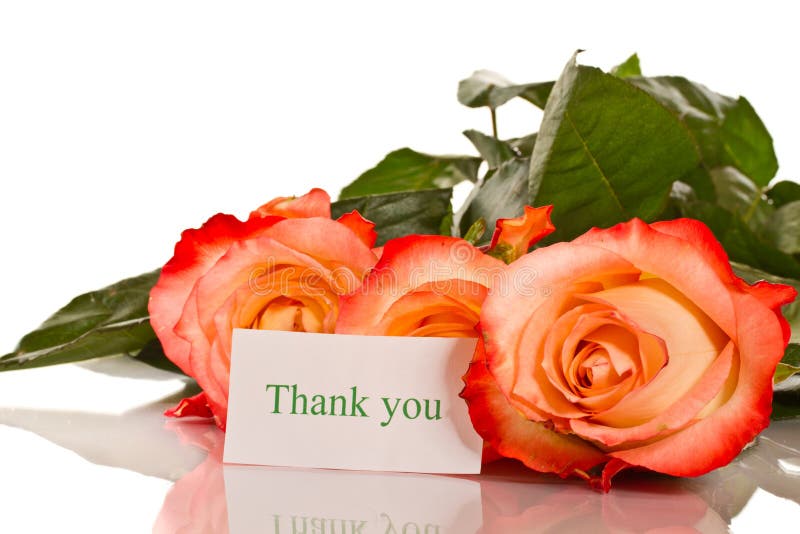 1,568 Thank You Roses Stock Photos - Free & Royalty-Free Stock Photos ...