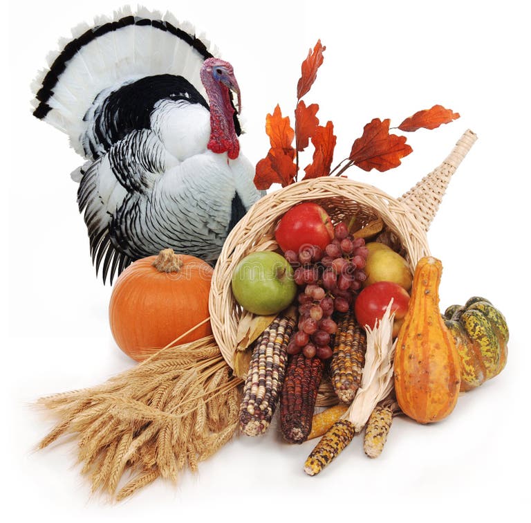 Thanksgiving stock photo. Image of fall, plenty, white - 1475628