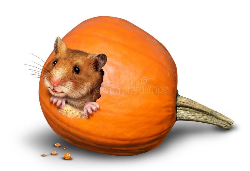 Thanksgiving stock illustration. Illustration of eating - 27090987