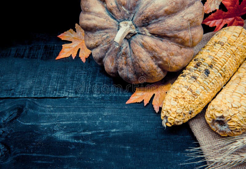 Thanksgiving in Autumn Season Stock Image - Image of life, country ...