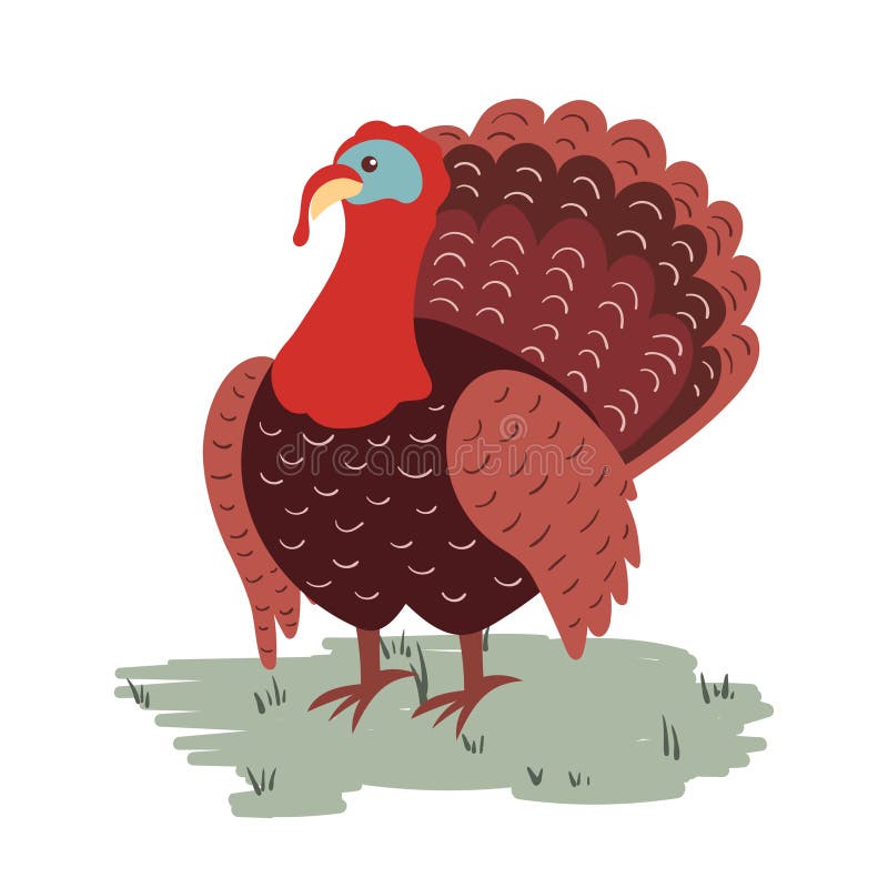 Thanksgiving Cartoon Turkey Bird Vector Illustration Stock Vector ...
