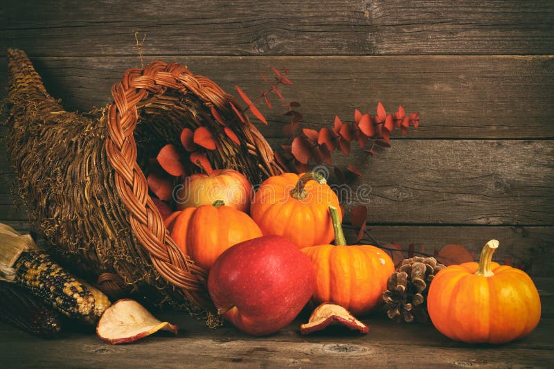 Cornucopia stock image. Image of nourishment, turkey, harvest - 23173