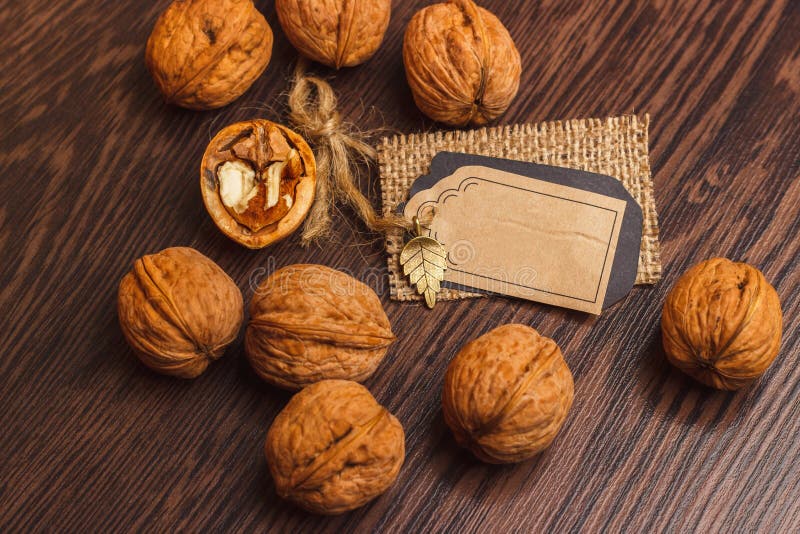 Thanksgiving Day Nuts on the Dark Background Stock Image - Image of ...