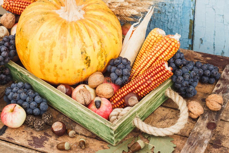 Thanksgiving Day: Tray of Different Autumn Vegetables Stock Image ...