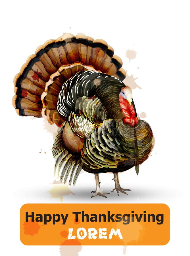 Thanksgiving Day Vector. Turkey Symbol Isolated On White Backgrounds ...