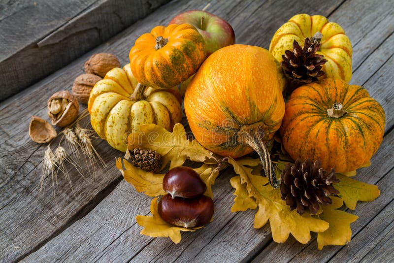 Thanksgiving Decorations on Rustic Background Stock Image - Image of ...