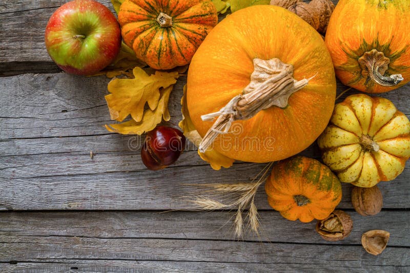 Thanksgiving Decorations on Rustic Background Stock Image - Image of ...