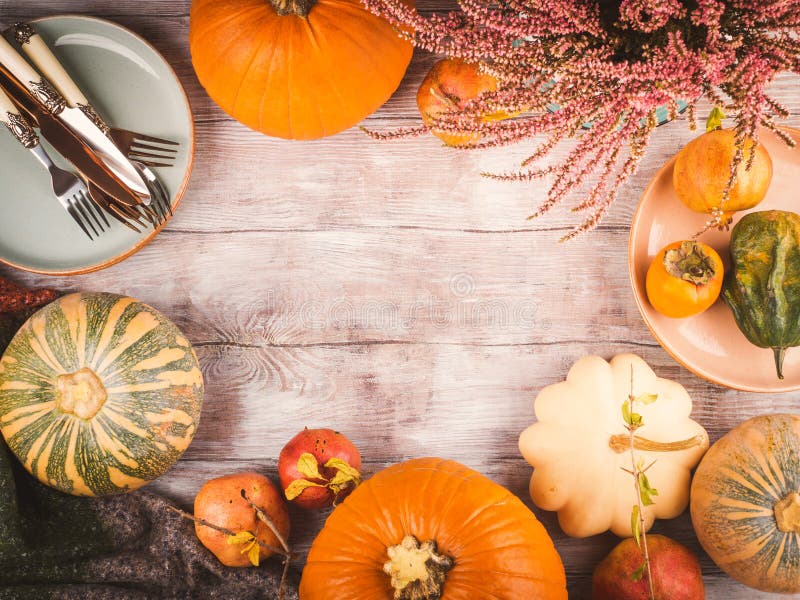 Thanksgiving Dinner Background with Pumpkins Stock Photo - Image of ...