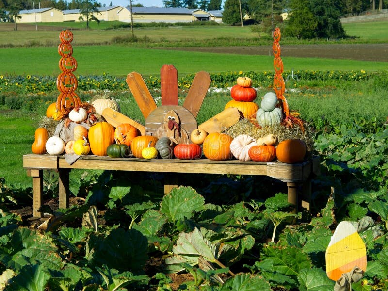 Thanksgiving Display of Fresh Fall Produce Stock Photo - Image of ...