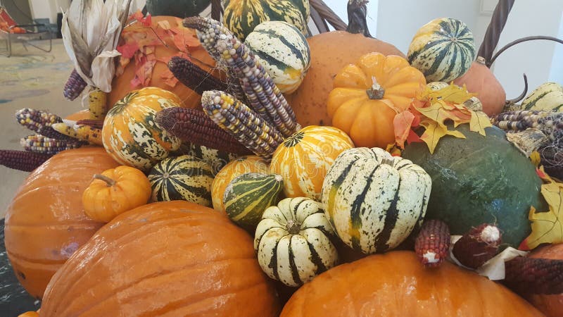Thanksgiving display stock photo. Image of season, pumpkin - 89133954