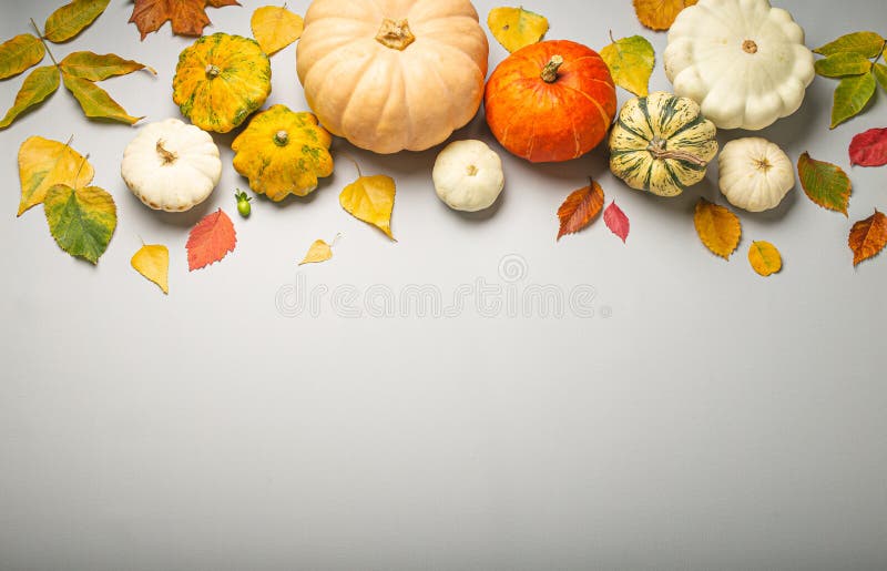 Thanksgiving or Fall Festive Composition with Different Assorted ...