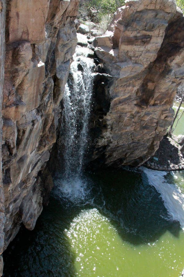 Falling from High stock photo. Image of naturalistic - 115617596