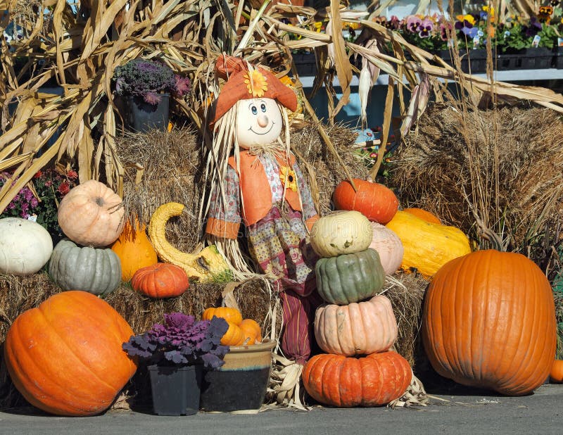Thanksgiving Produce Display Stock Photo - Image of gourds, bale: 34654884