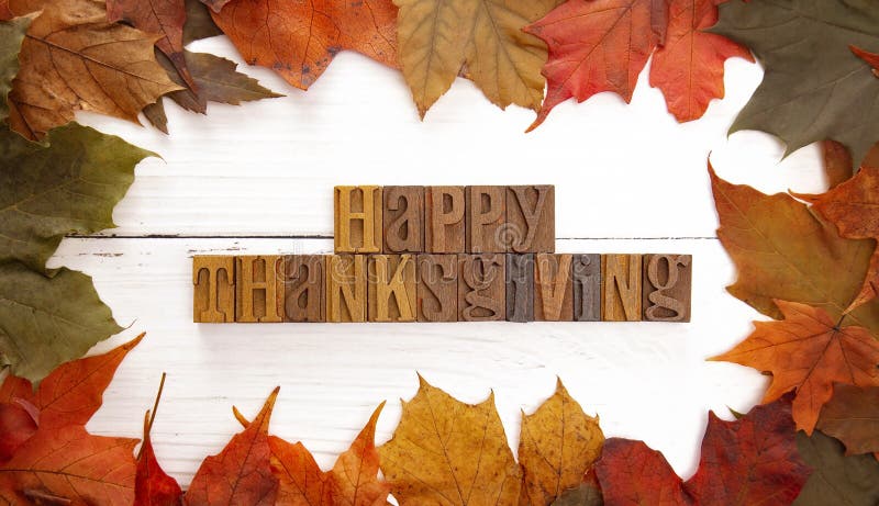 Thanksgiving Themed Background with Read Fall Leaves Stock Image ...
