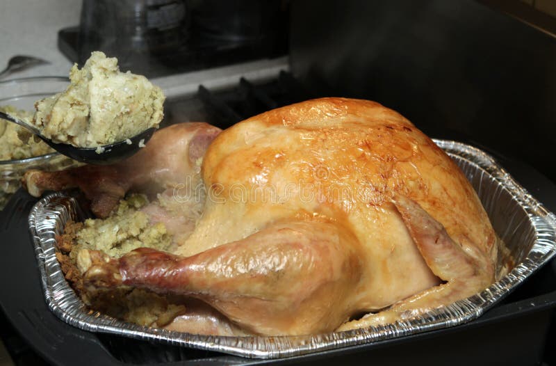 Thanksgiving turkey cooked stock photo. Image of bird - 23911568