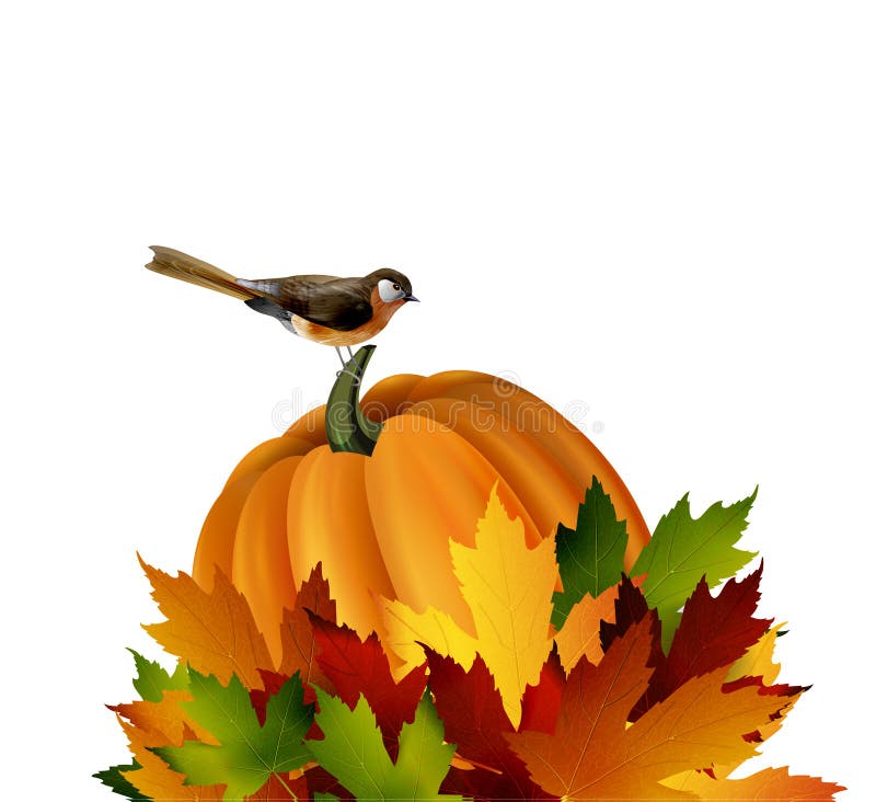 Thanksgiving Vector Autumn Composition Stock Vector - Illustration of ...
