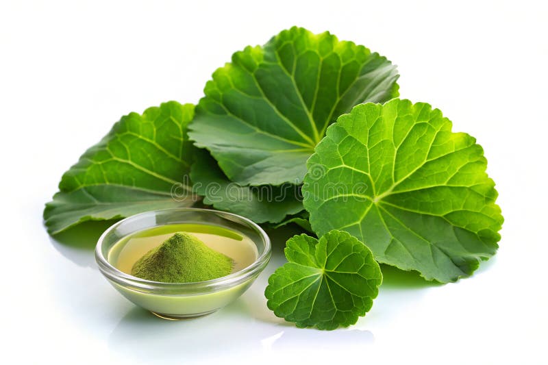 Thankuni Leaves with Herbal Extract on White Background Stock ...