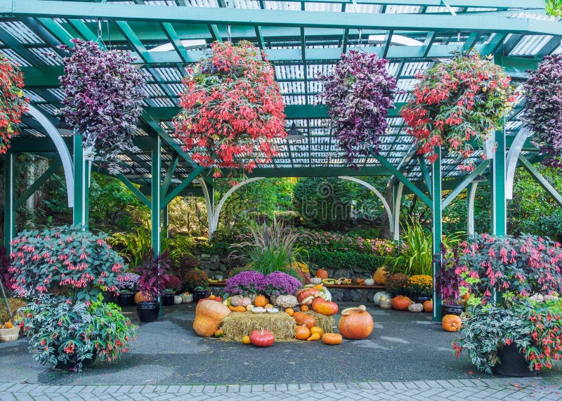 Thansgiving Produce Display Stock Photo - Image of agriculture, color ...