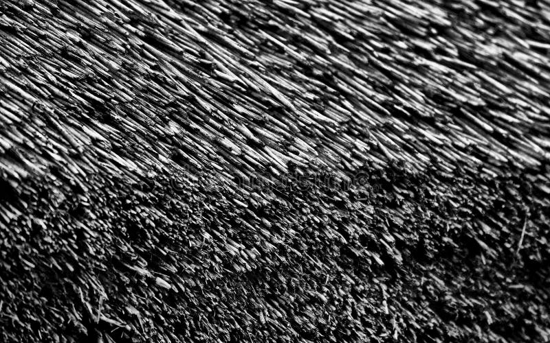 Thatch stock photo. Image of thatch, roof, black, texture - 13129760