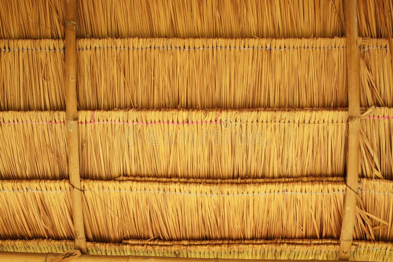 Thatch Background Picture. Image: 19510867