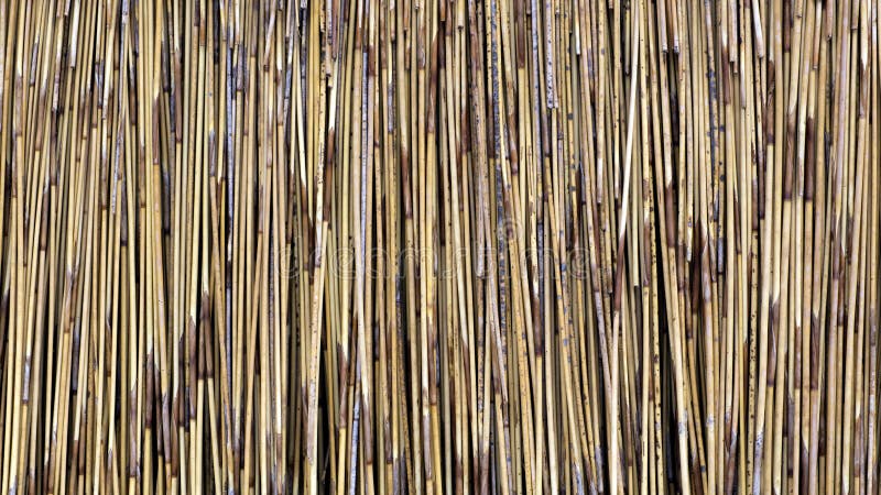 Thatch background stock image. Image of sticks, texture - 28746591