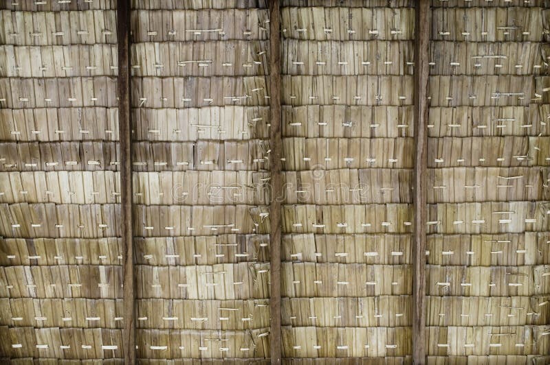Thatch background pattern stock image. Image of thatch - 61971265