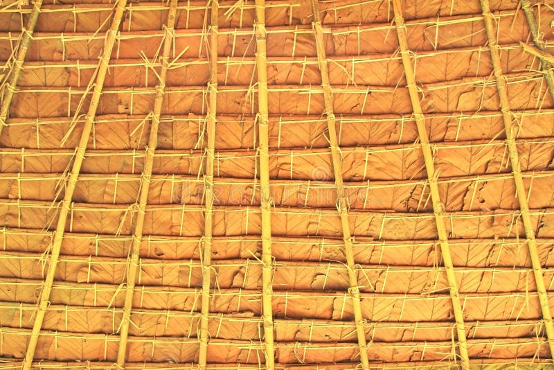 Thatch Background of Straw Stems Cut Stock Photo - Image of backgrounds ...