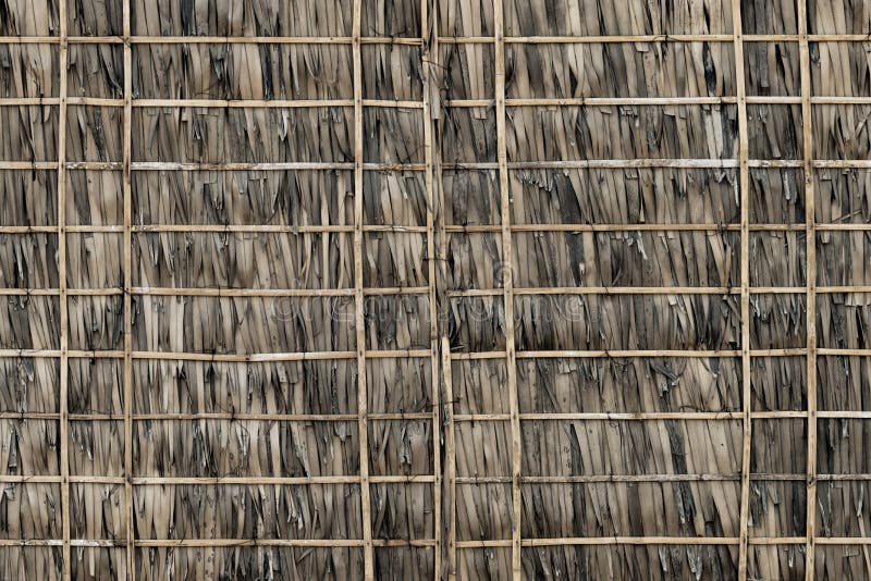 Thatch and Bamboo Wall stock photo. Image of thatch, wood - 78868338