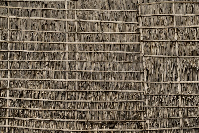 Thatch wall stock image. Image of grass, colorful, closeup - 3095609