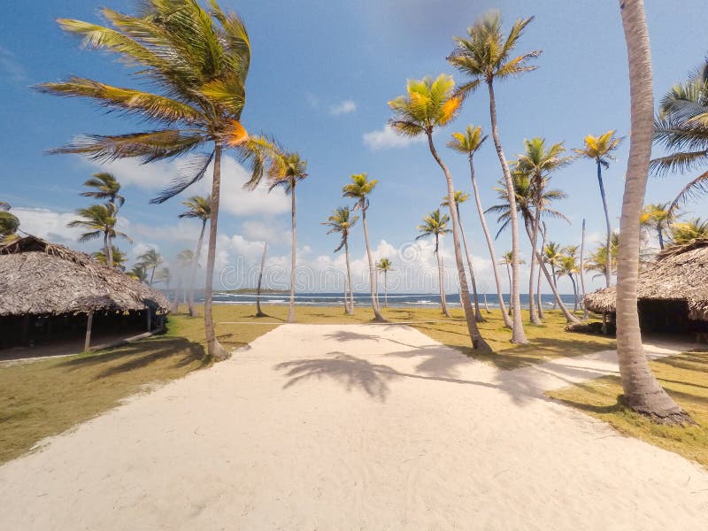 Thatch Huts / Bungalows on Small Tropical Island with Palm Trees Stock ...
