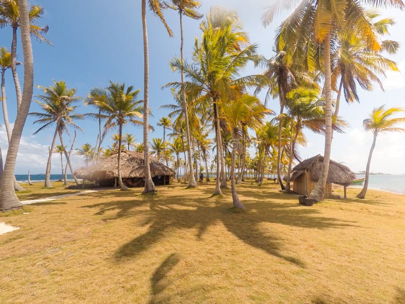 Thatch Huts / Bungalows on Small Tropical Island with Palm Trees Stock ...