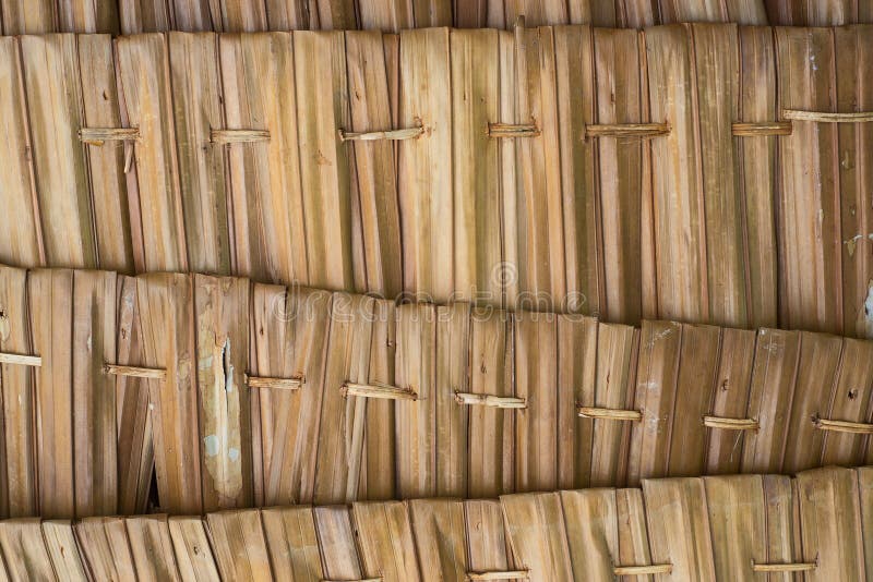 Thatch roof stock photo. Image of rural, hometown, palm - 65670014