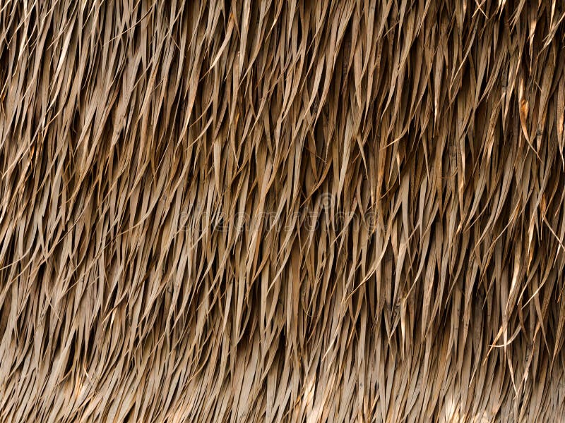 Thatch roof background stock image. Image of plant, agriculture - 61301581