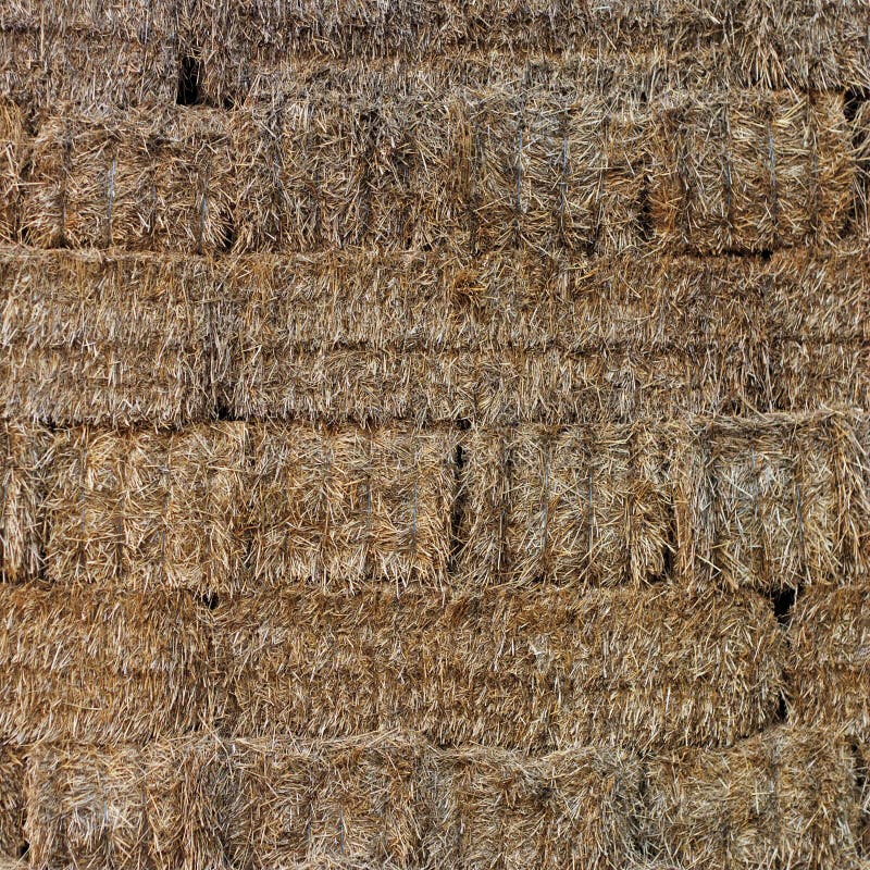 Thatch stack texture stock image. Image of feed, corn - 12044563
