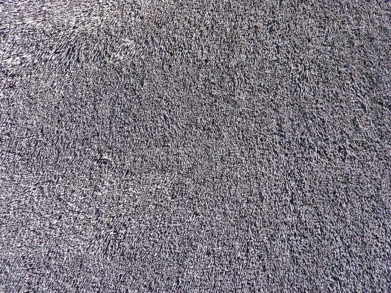 Thatch texture stock photo. Image of abstract, woven - 97763438