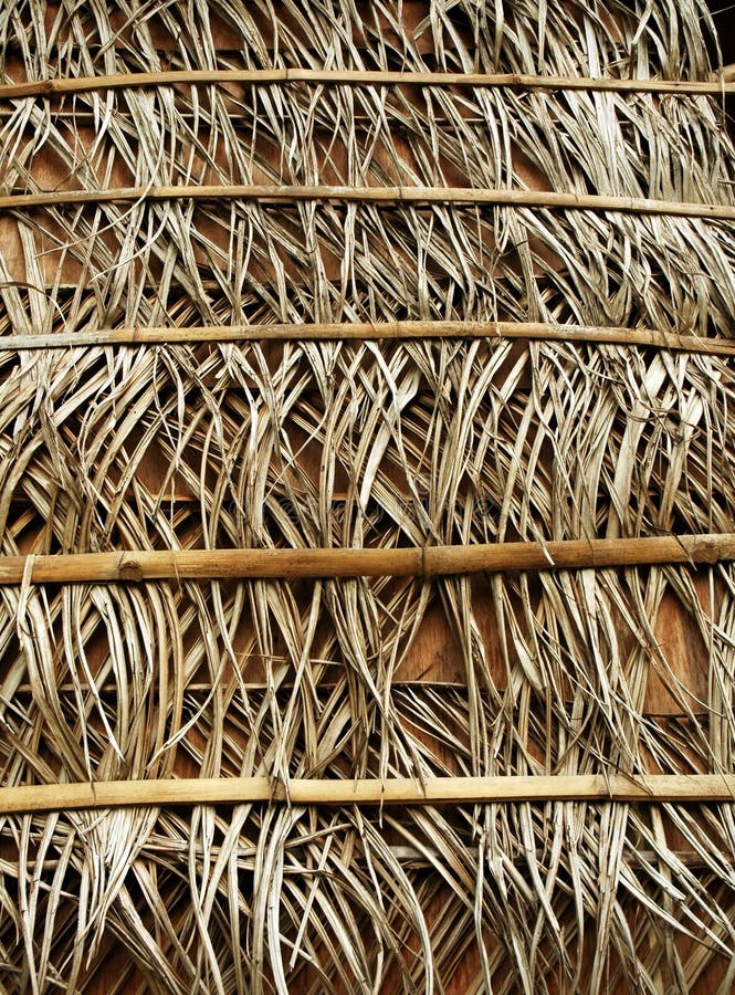 Grass Thatch Roof Pattern Closeup Stock Photo - Image of palapa ...