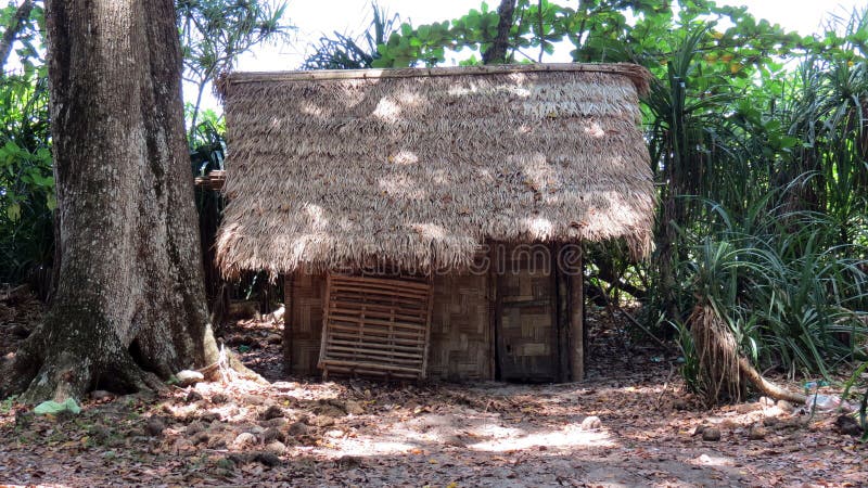 Thatched hut stock image. Image of traditional, wallpaper - 66207323