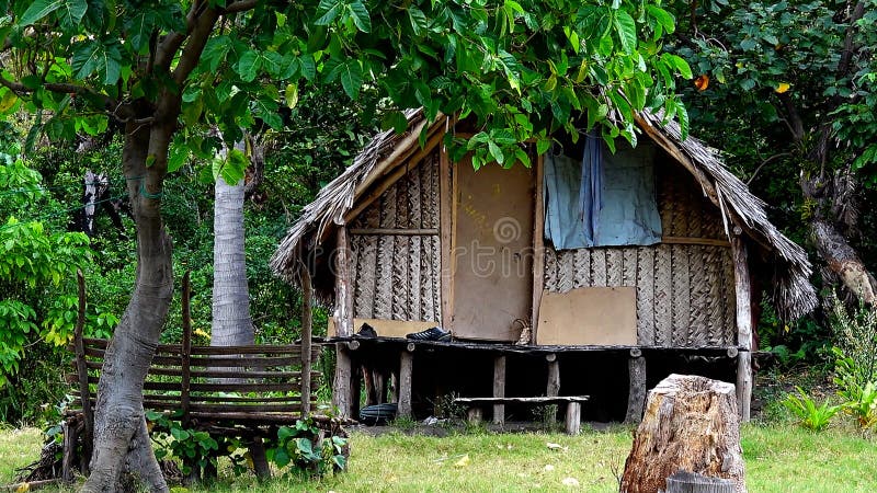 A Thatched Hut Surrounded by Trees on Efate Island in Vanuatu Stock ...